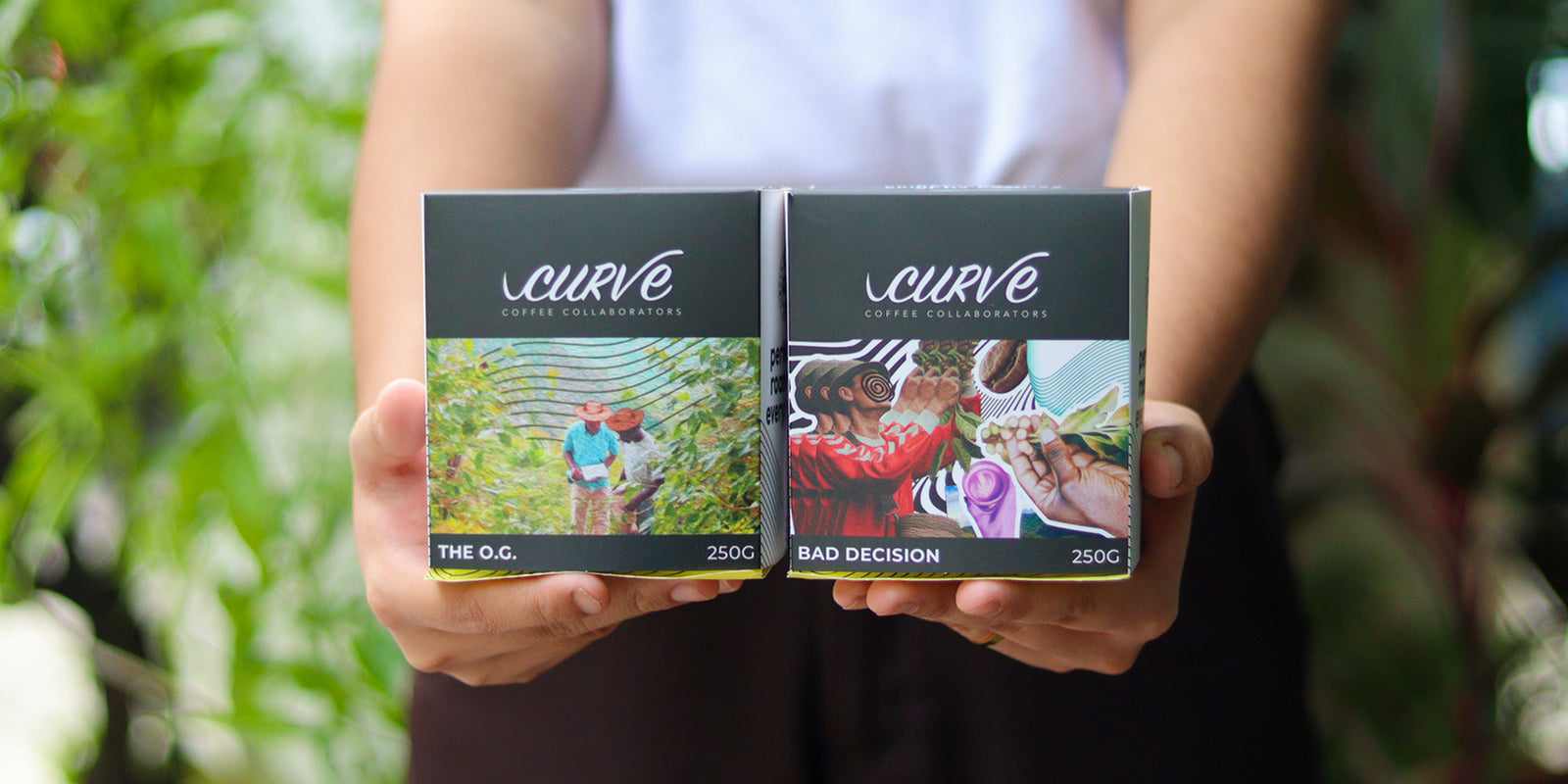 Curve Coffee Collaborators | Philippine Specialty Coffee